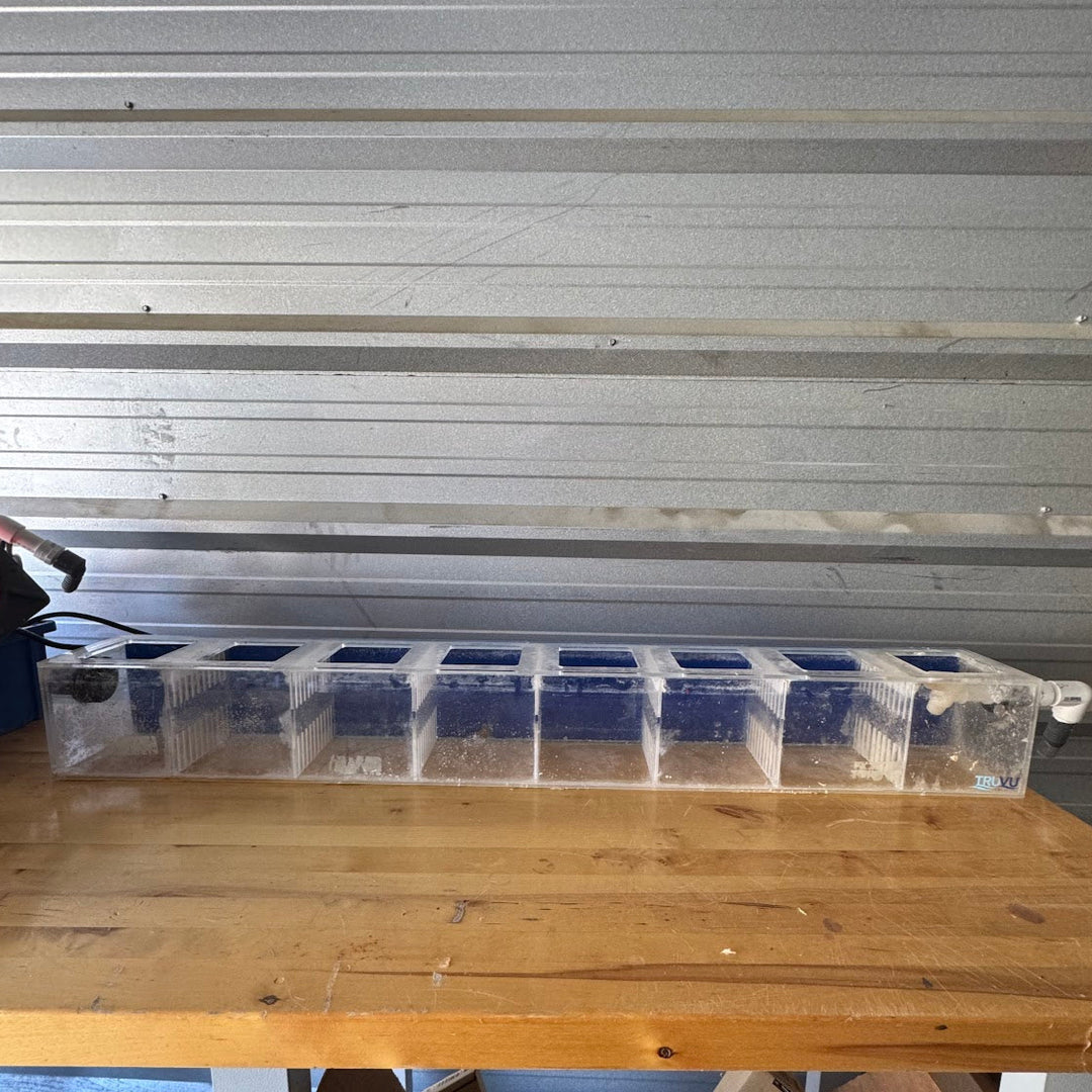 8 cubicle acrylic tank 48 inch by 6 inch – Reeflifeaquariums.com