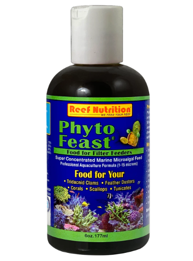 Phyto Feast Concentrate 6 oz – Reeflifeaquariums.com
